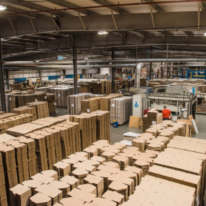 Cullen Eco-Friendly Packaging unveils £15m expansion plan seeking to ...