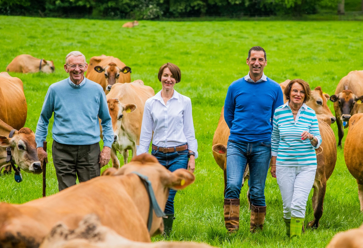 Graham’s posts £2.8m pretax profit as cottage cheese sales surge 40% ...